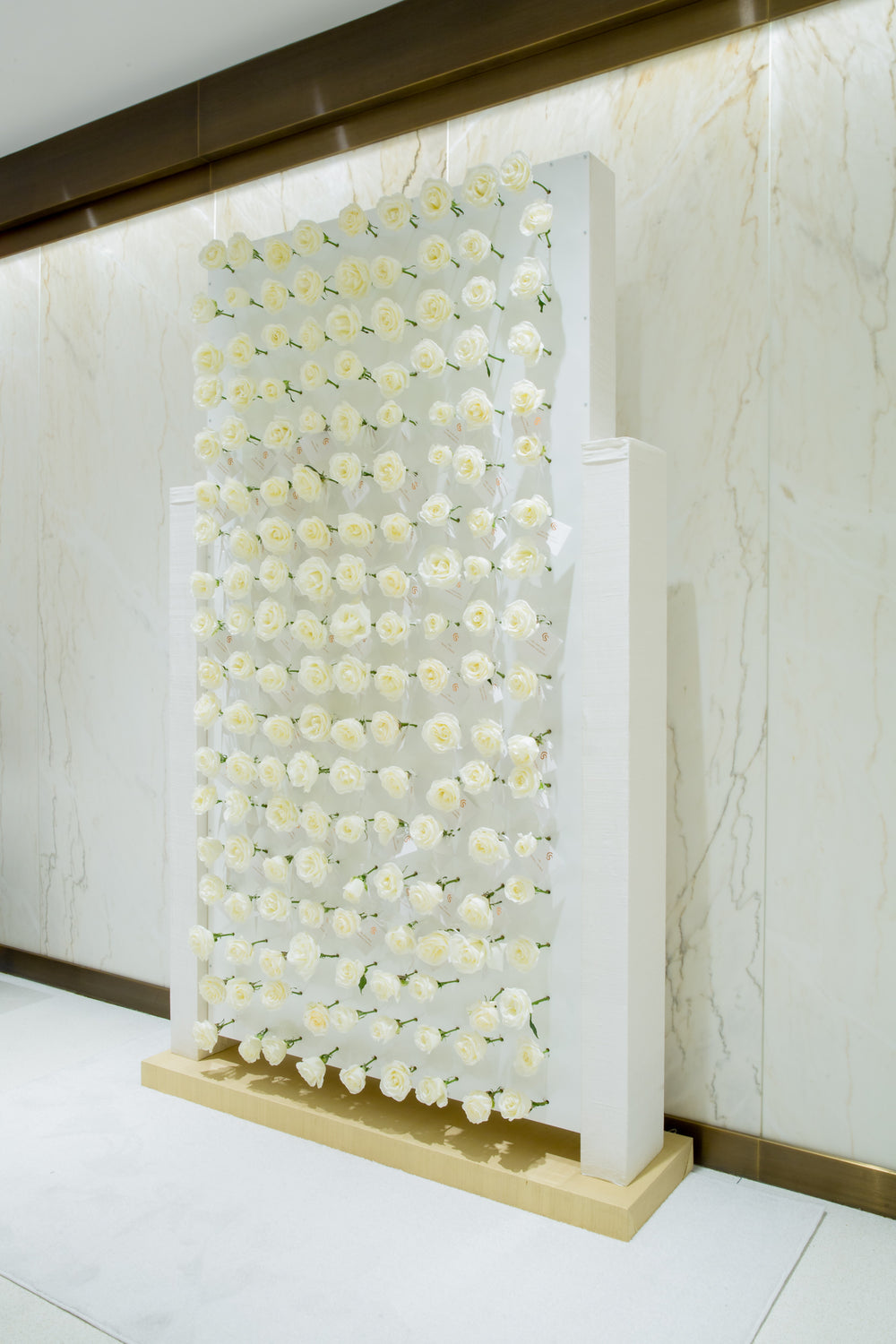 White Wonder – Ovando