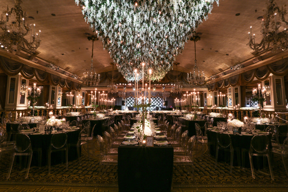 Wonderful Wisteria – Ovando