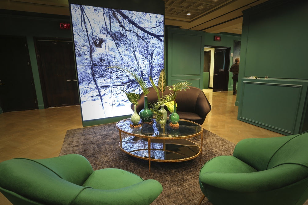 Into the Jungle – Ovando